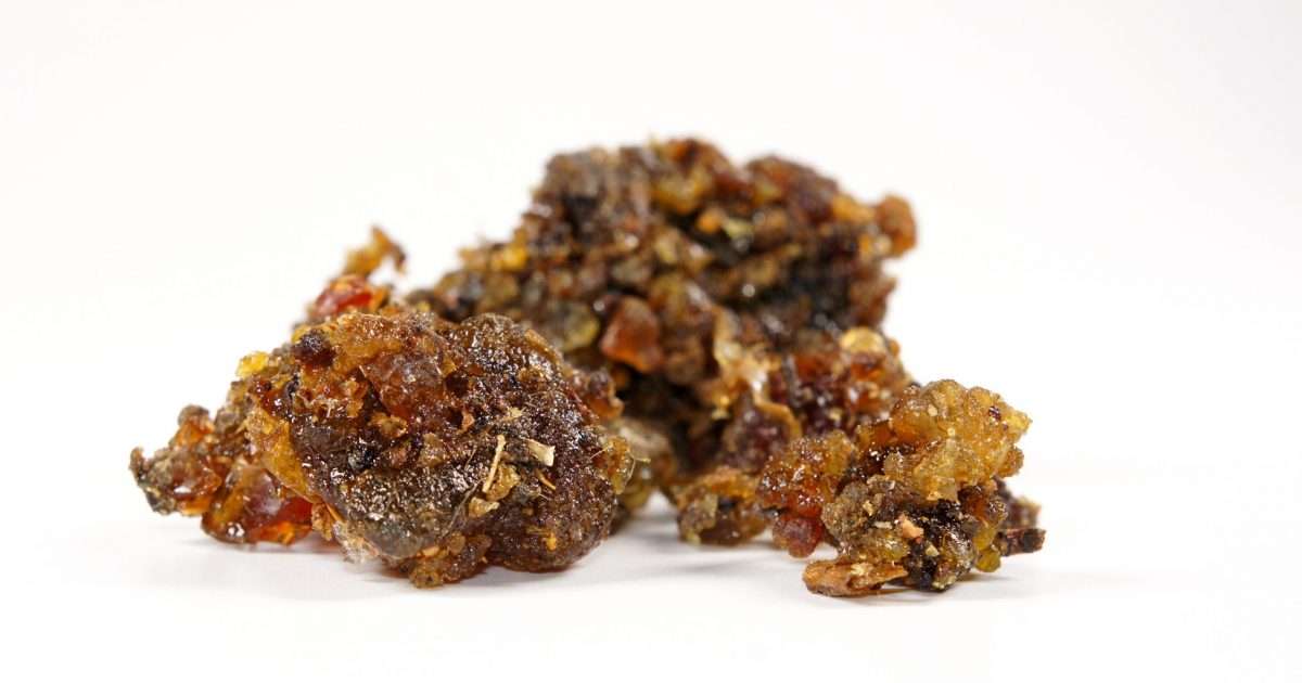 Guggul Supplement | Guggul Benefits